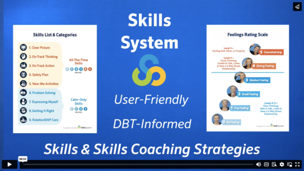 Skills System – Regulate Emotion. Maximize Potential.